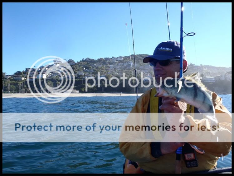 Kayak Fishing from Aliso Beach to Dana Harbor | Bloodydecks